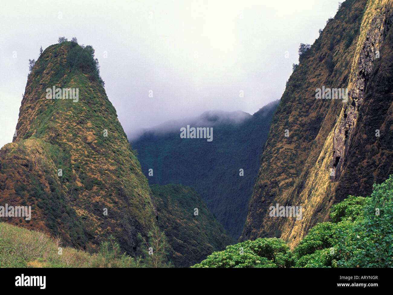 Iao Valley, part of the ancient caldera of the West Maui Mountains, is ...