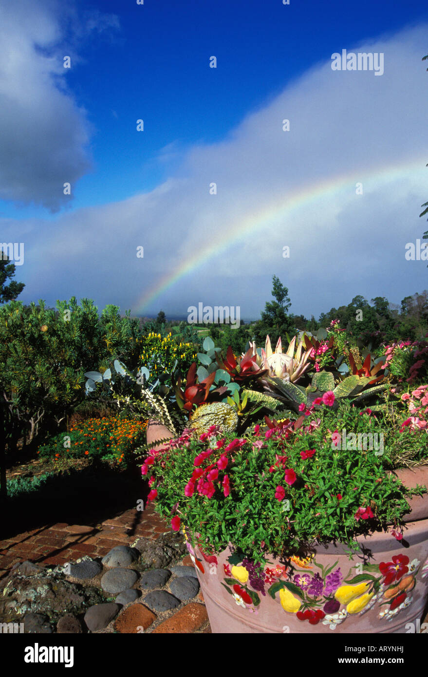 Kula botanical gardens hi-res stock photography and images - Alamy