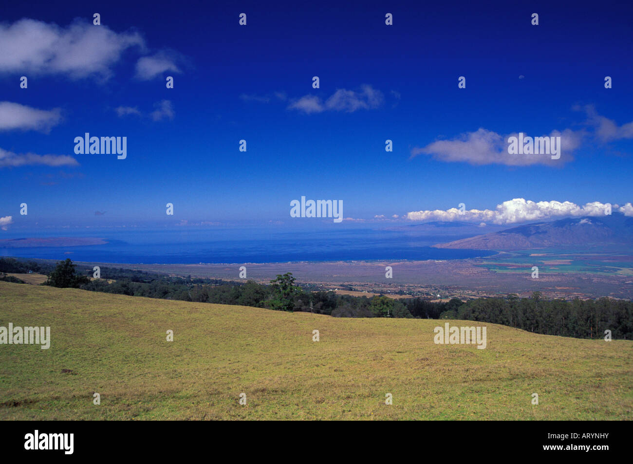 Upcountry maui hawaii usa ranch hi-res stock photography and images - Alamy
