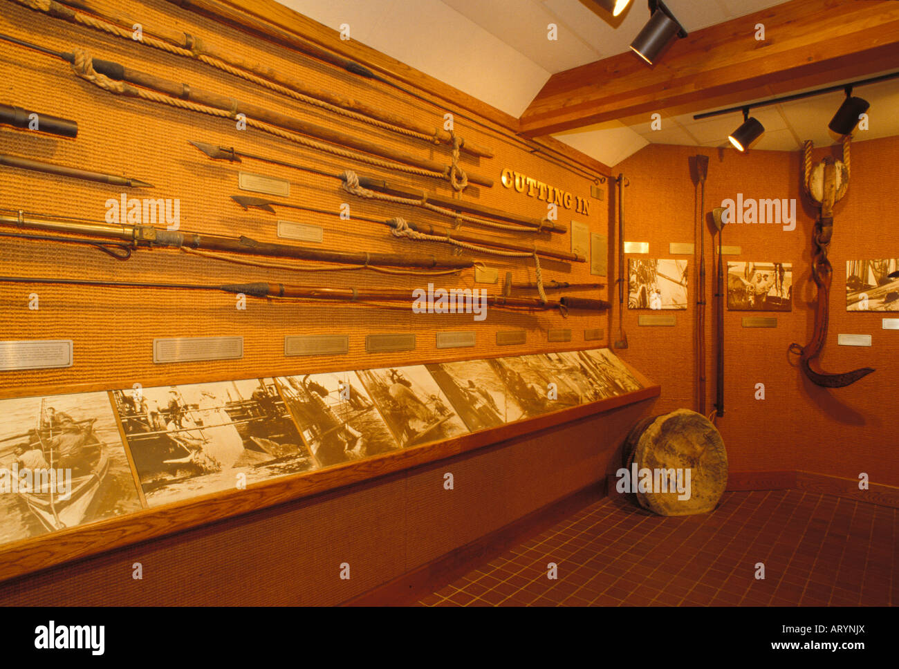 Artifacts and photographs of Lahaina's Historic whaling industry can be ...