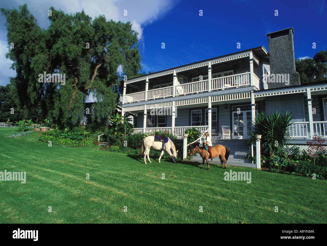 Upcountry maui hawaii usa ranch hi-res stock photography and images - Alamy