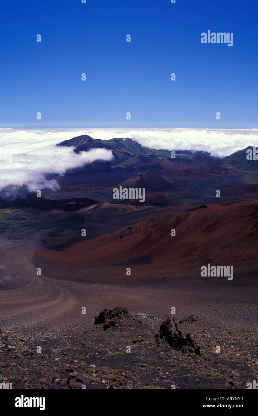 Elevation from east hi-res stock photography and images - Alamy