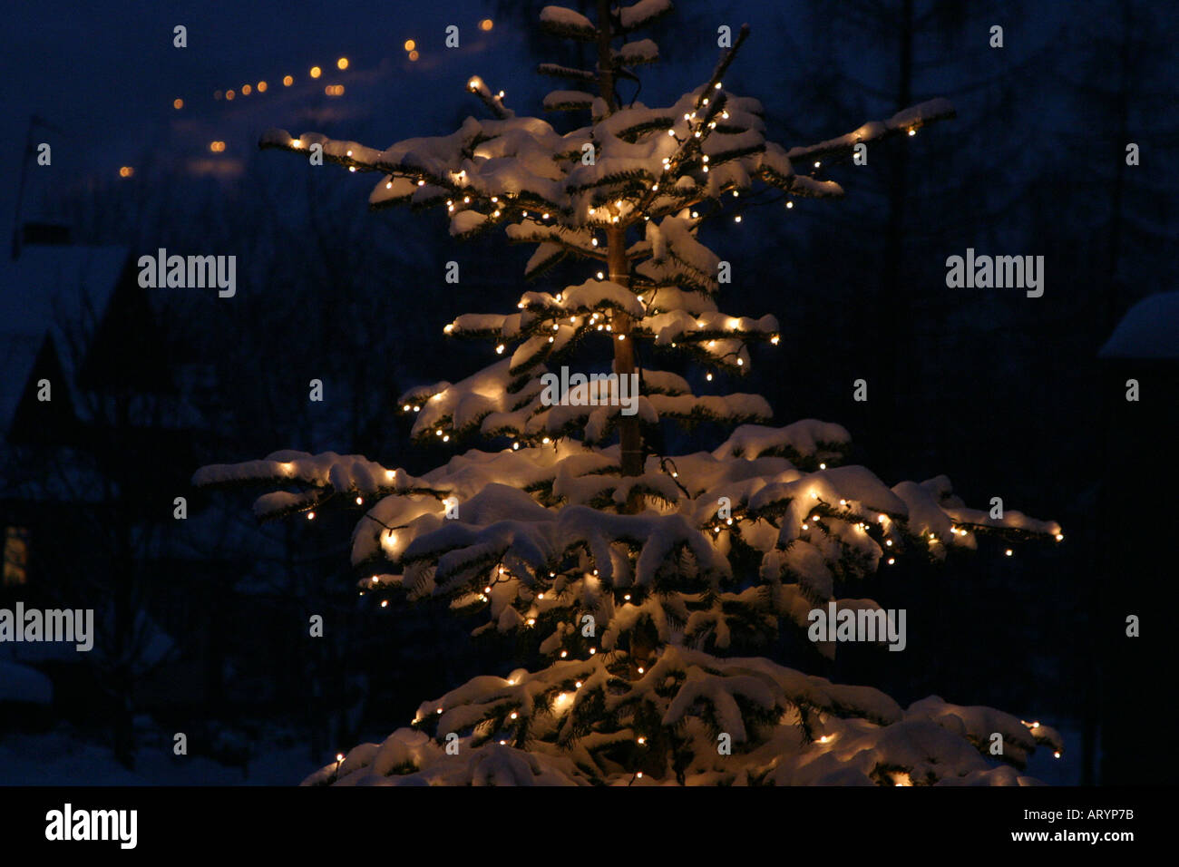 Christmas tree with lights and snow in Zakopane, Poland Stock Photo - Alamy