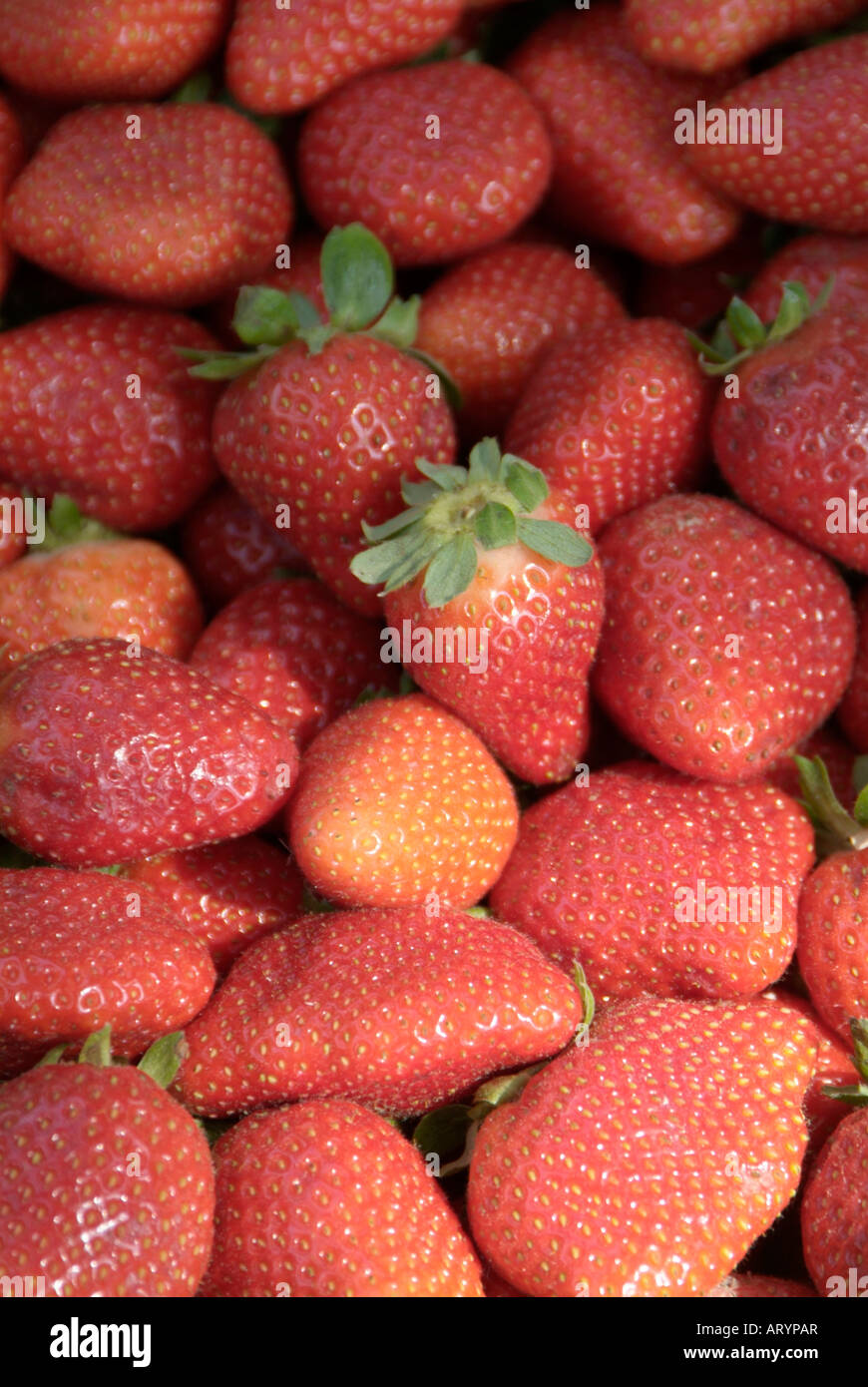 strawberry strawberries red fruit bright color Stock Photo - Alamy