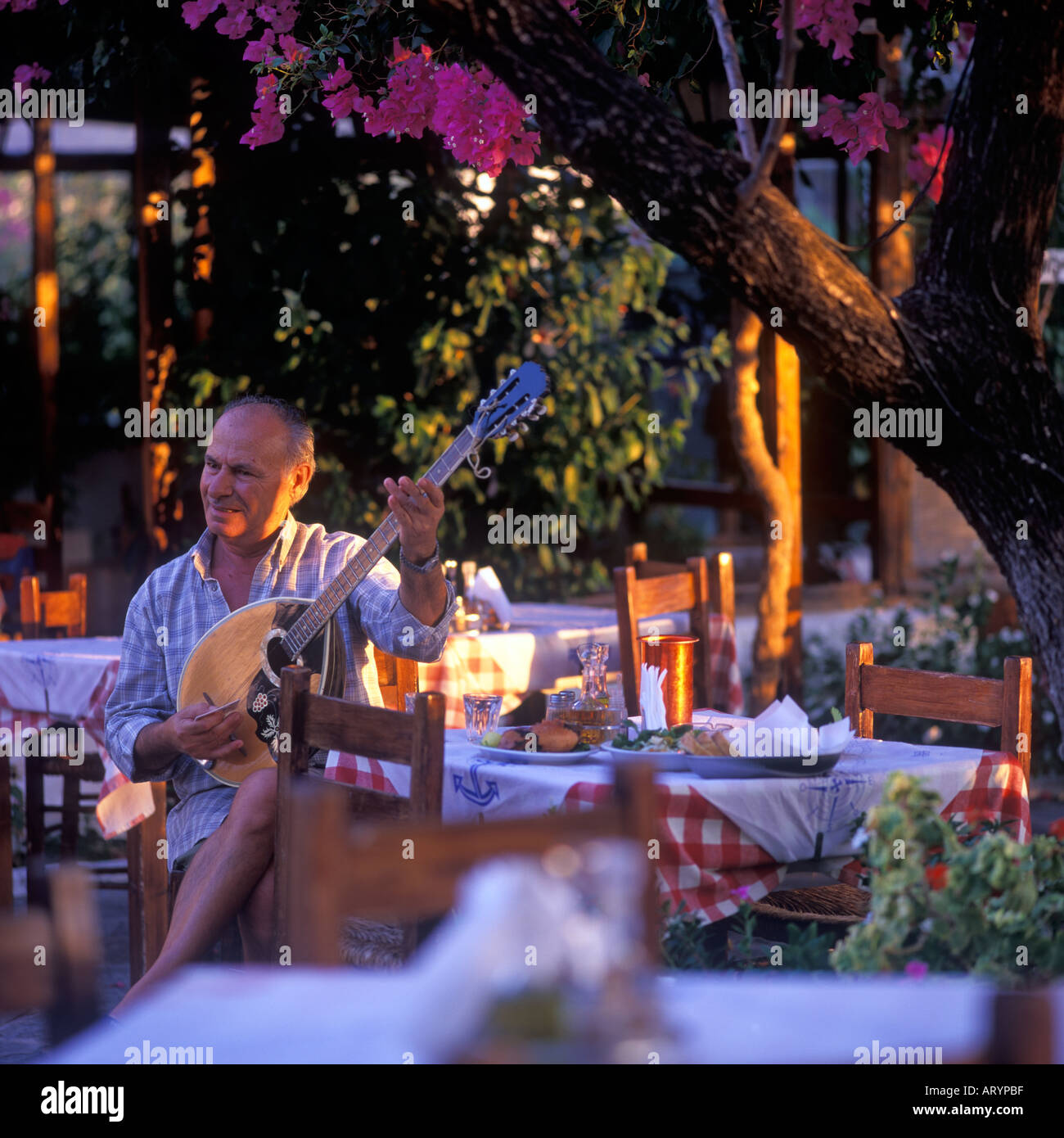 Man playing mandolin hi-res stock photography and images - Alamy