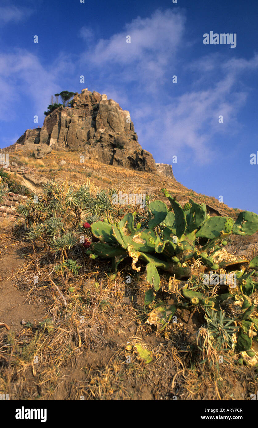 George fort hi-res stock photography and images - Alamy