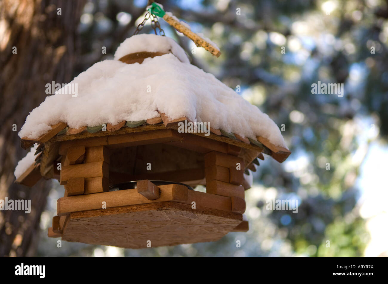 Birdhouse with Snow Stock Photo - Alamy