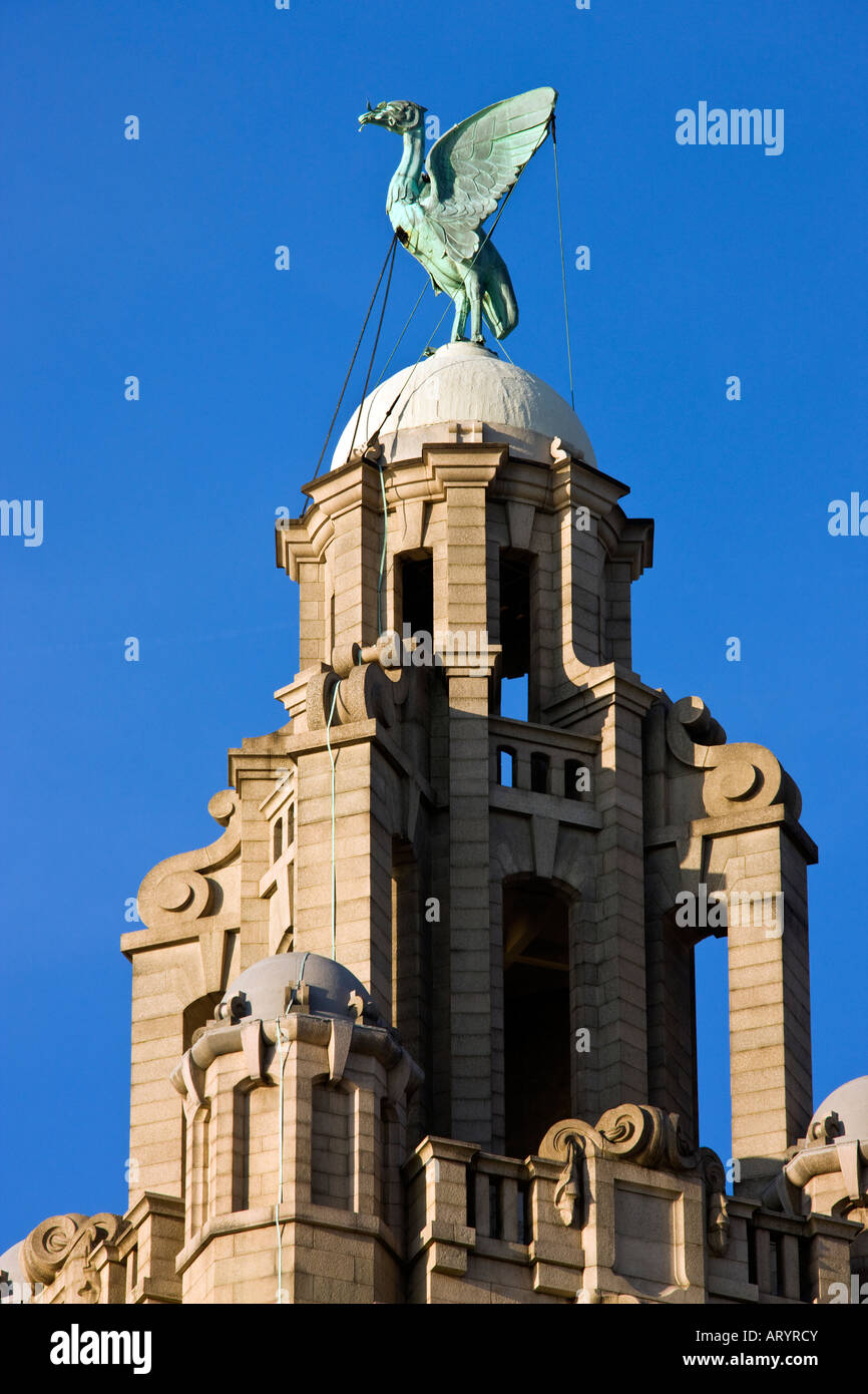 The Liver Building in the city of Liverpool in North West England Stock ...