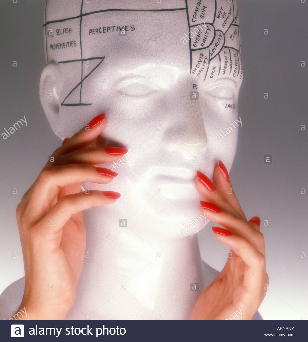 Phrenologist High Resolution Stock Photography and Images - Alamy