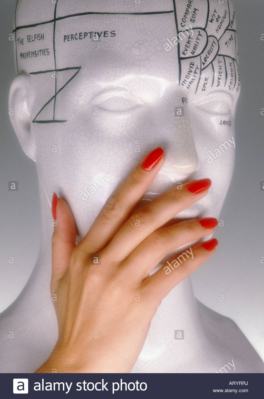 Phrenologist High Resolution Stock Photography and Images - Alamy