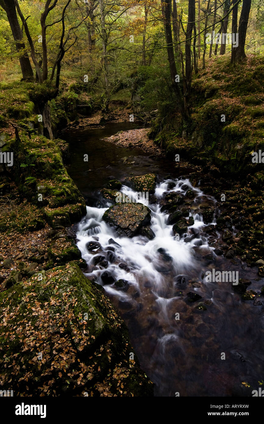 woodland stream near Ystradfellte, South Wales Stock Photo - Alamy