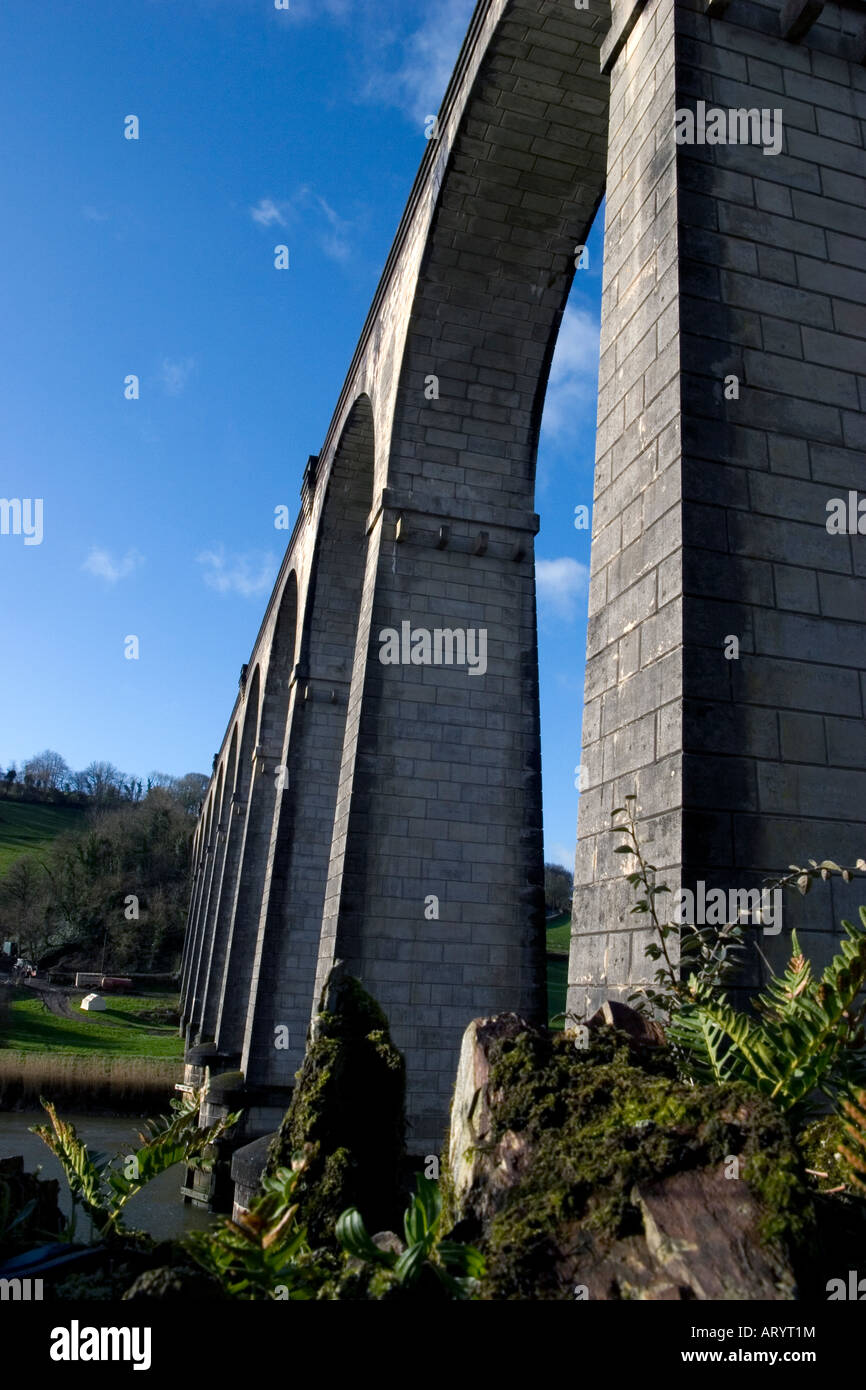 Tamar Viaduct, Calstock, Cornwall Stock Photo - Alamy