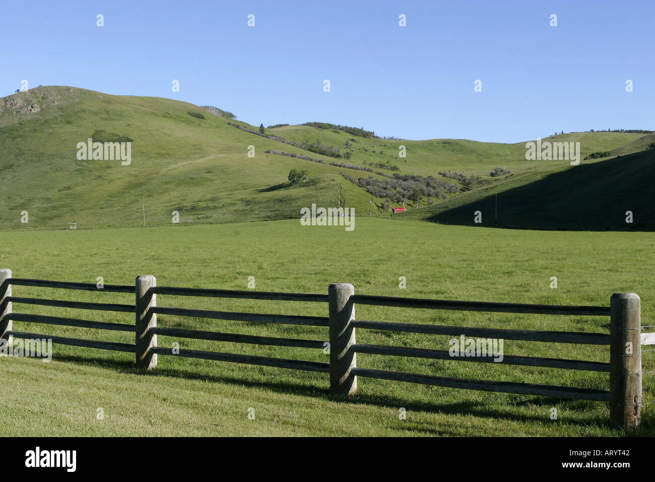 fence rolling farmland in Alberta Stock Photo - Alamy