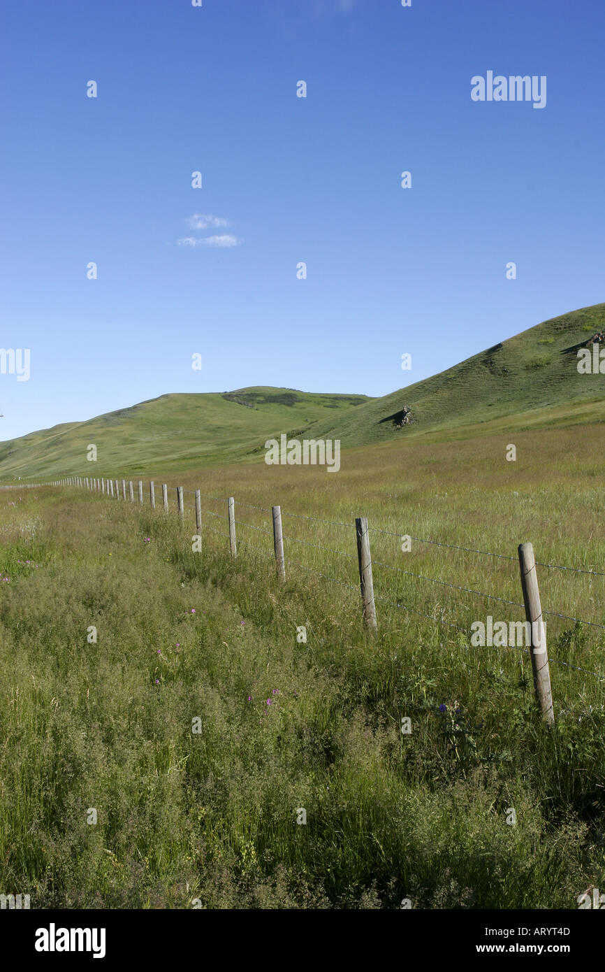 fence rolling farmland in Alberta Stock Photo - Alamy