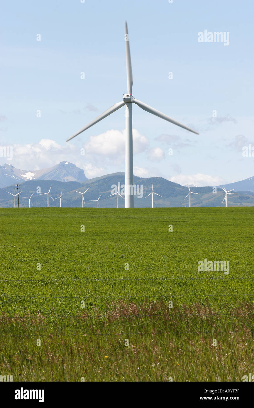 Cowley Ridge Wind Farm High Resolution Stock Photography and Images - Alamy