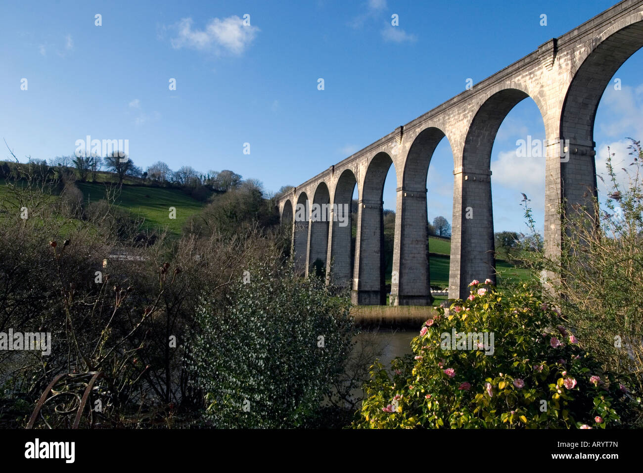 Tamar Viaduct, Calstock, Cornwall Stock Photo - Alamy