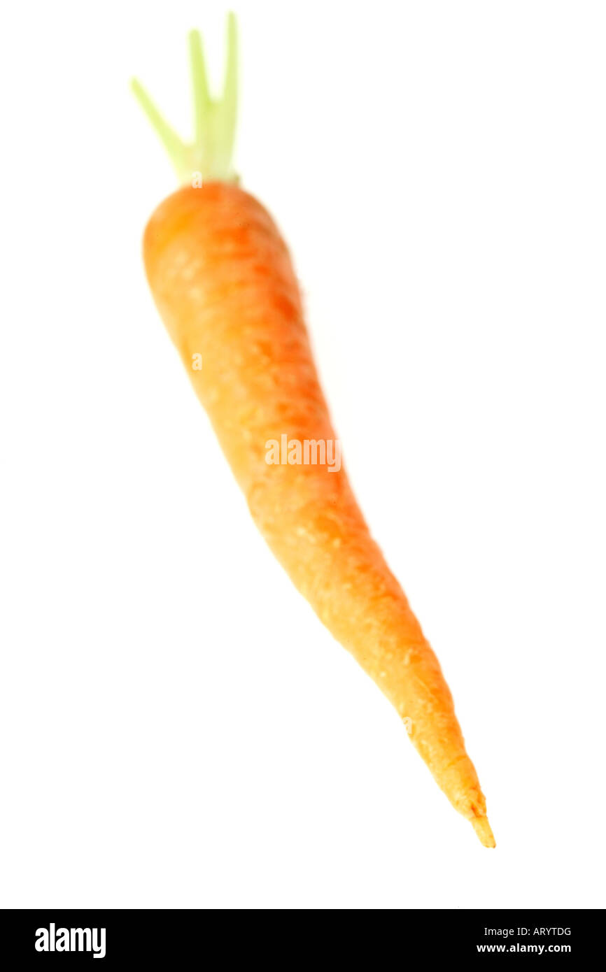 Carrot vegetable healthy fresh root organic tops heads raw food hi-res ...