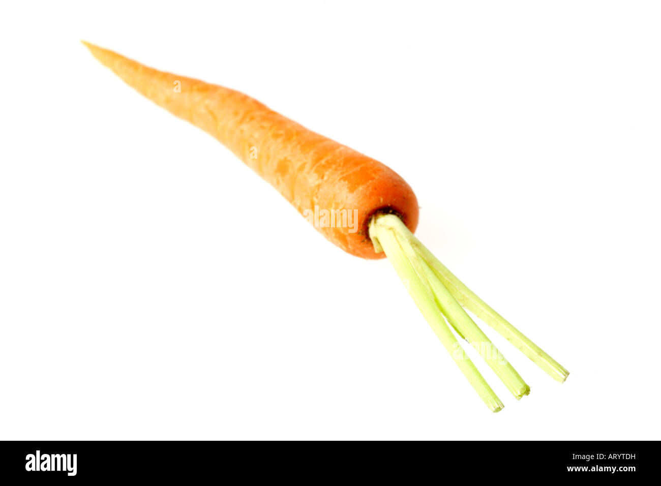 Carrot vegetable healthy fresh root organic tops heads raw food hi-res ...