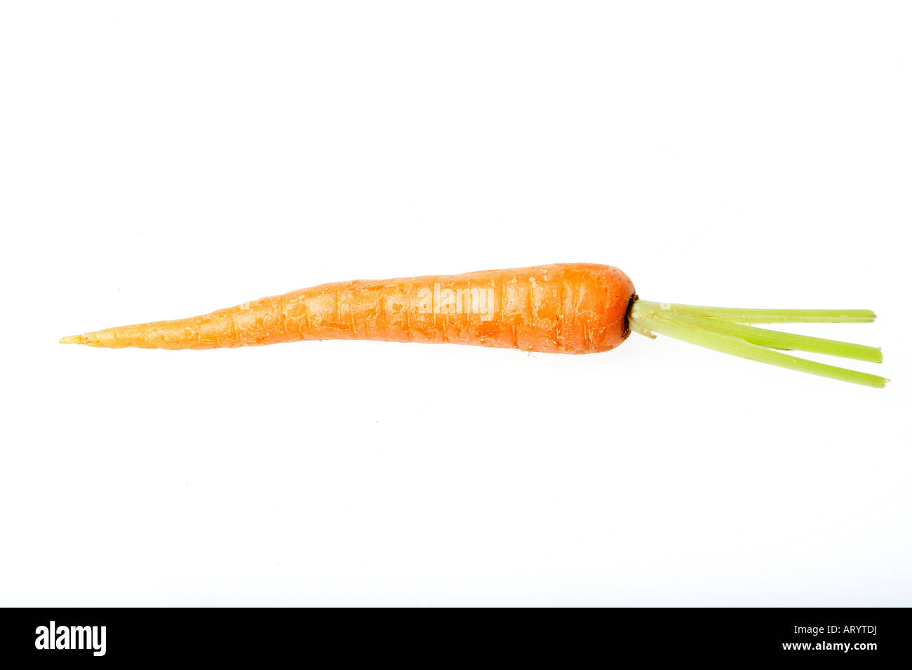 Carrot vegetable healthy fresh root organic tops heads raw food hi-res ...
