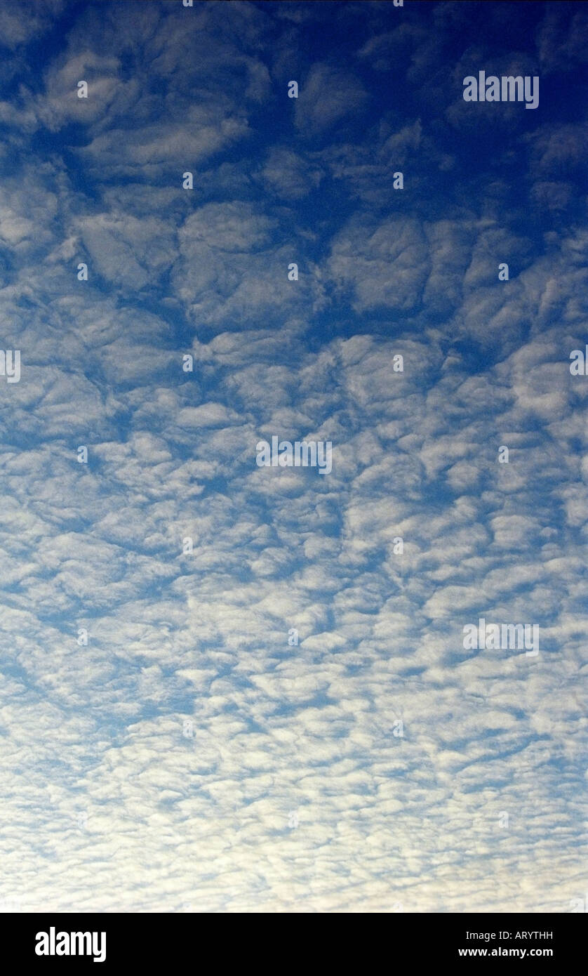 cirrocumulus ( Cc Stock Photo - Alamy