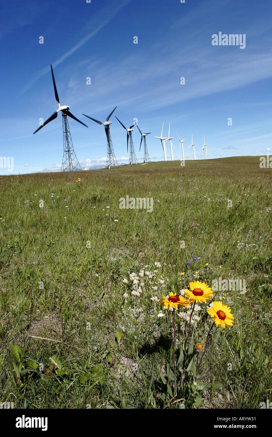 Cowley Ridge Wind Farm High Resolution Stock Photography and Images - Alamy