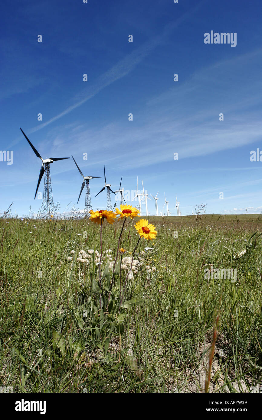 Cowley Ridge Wind Farm High Resolution Stock Photography and Images - Alamy