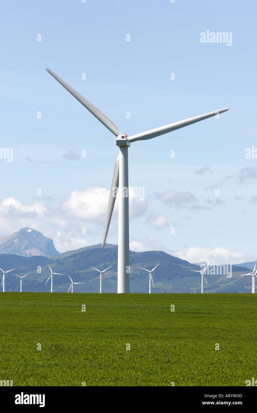 Cowley ridge wind farm hi-res stock photography and images - Alamy