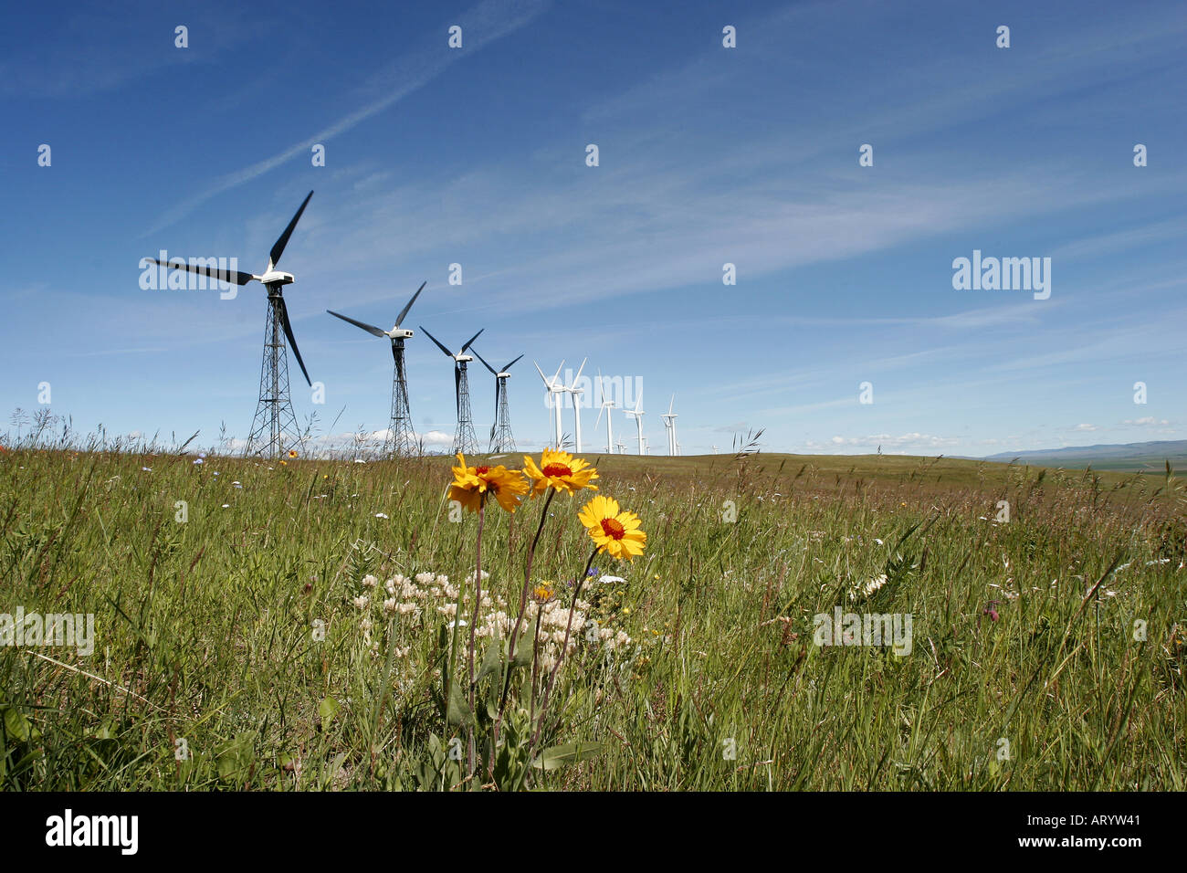 Cowley Ridge Wind Farm High Resolution Stock Photography and Images - Alamy