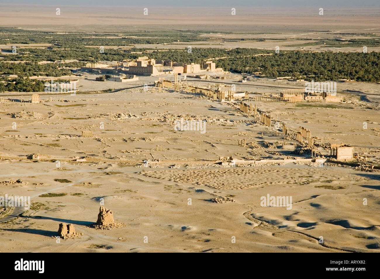Ancient city of Tadmor, from the Arab Castle, Qalaat Ibn Maan ...