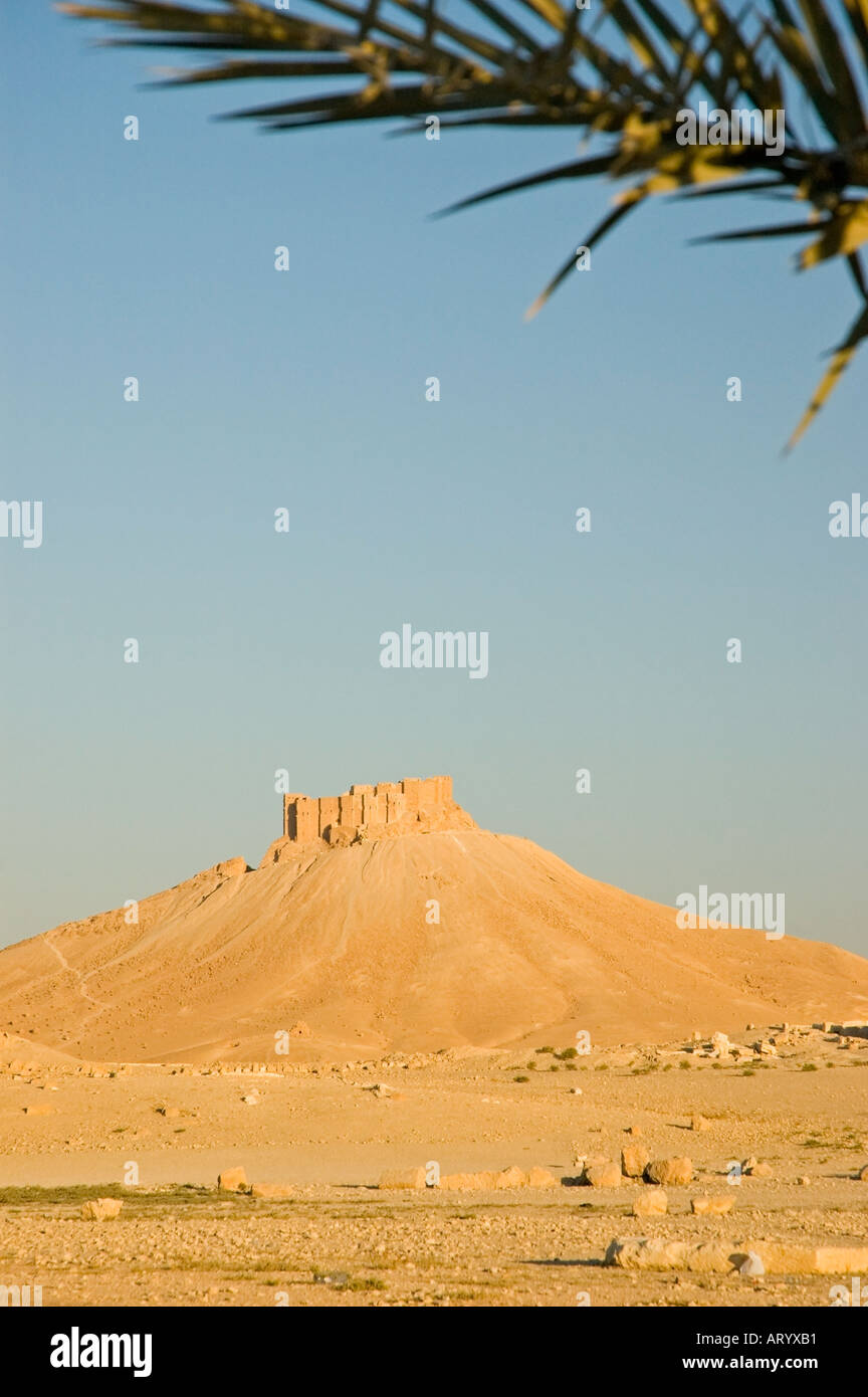 The Arab Castle, Qalaat Ibn Maan, overlooks Palmyra, Central Syria ...