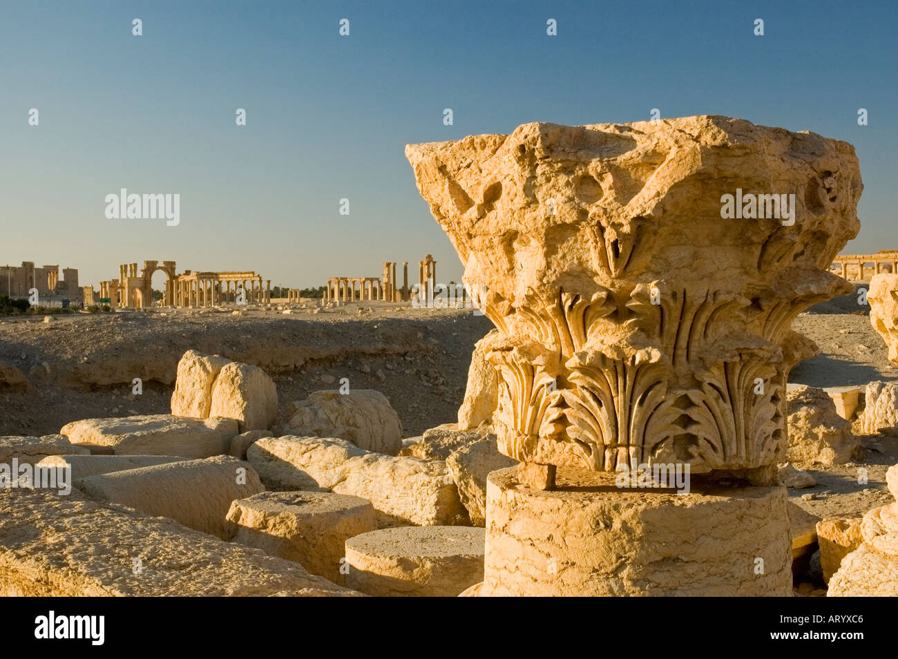 Ruins of corinthian columns at ancient Tadmor, Palmyra, Central Syria ...