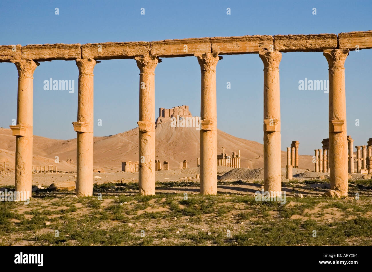 Hilltop castle and row of Columns amongst the Ruins of ancient Tadmor ...