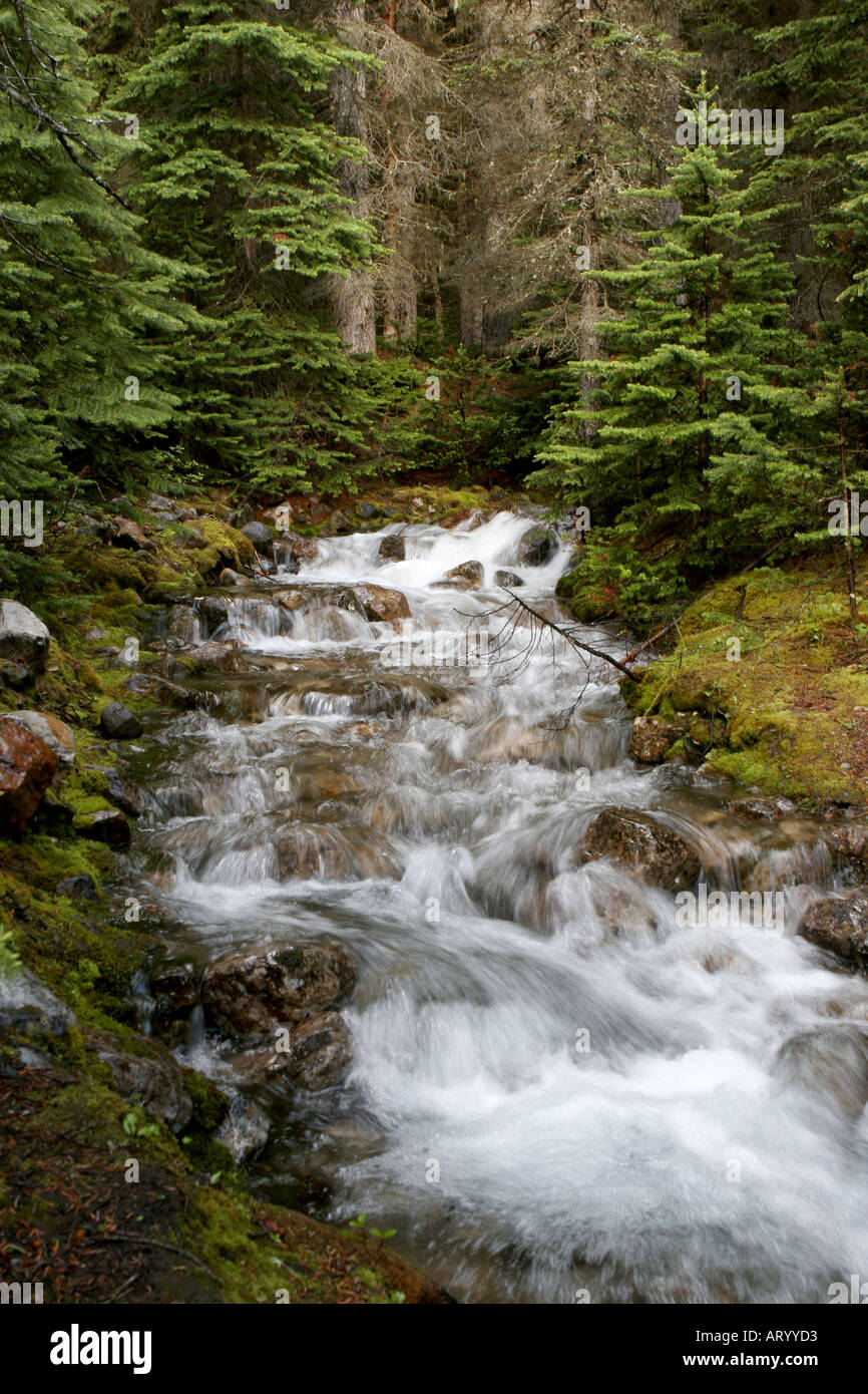 creek at Moraine Lake Banff National Park Alberta Stock Photo - Alamy