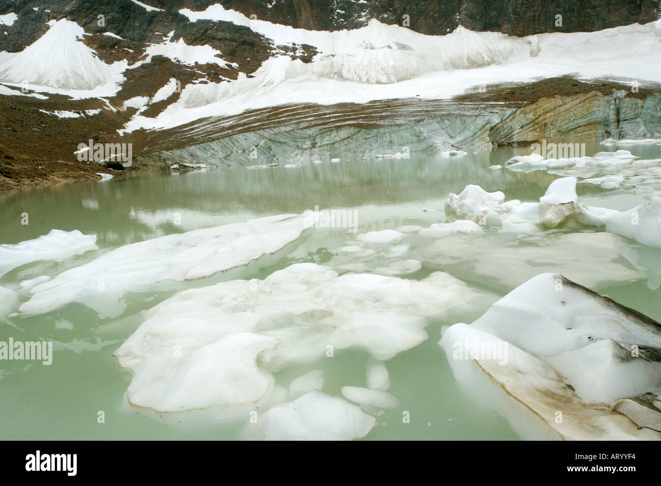 Angel glacier Mt Edith Cavell Jasper National Park Alberta Stock Photo ...