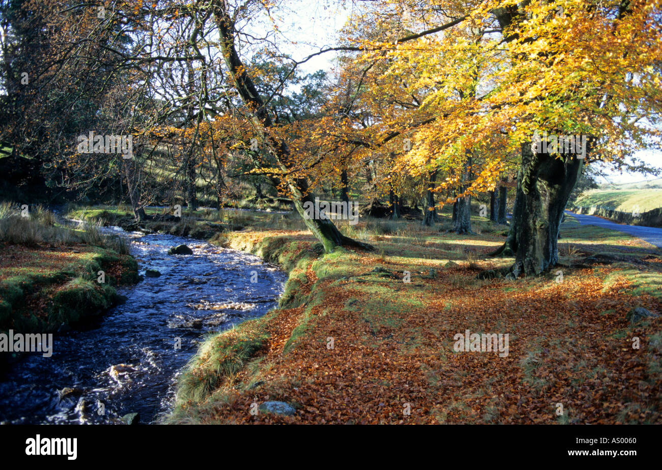 Ribble valley autumn hi-res stock photography and images - Alamy