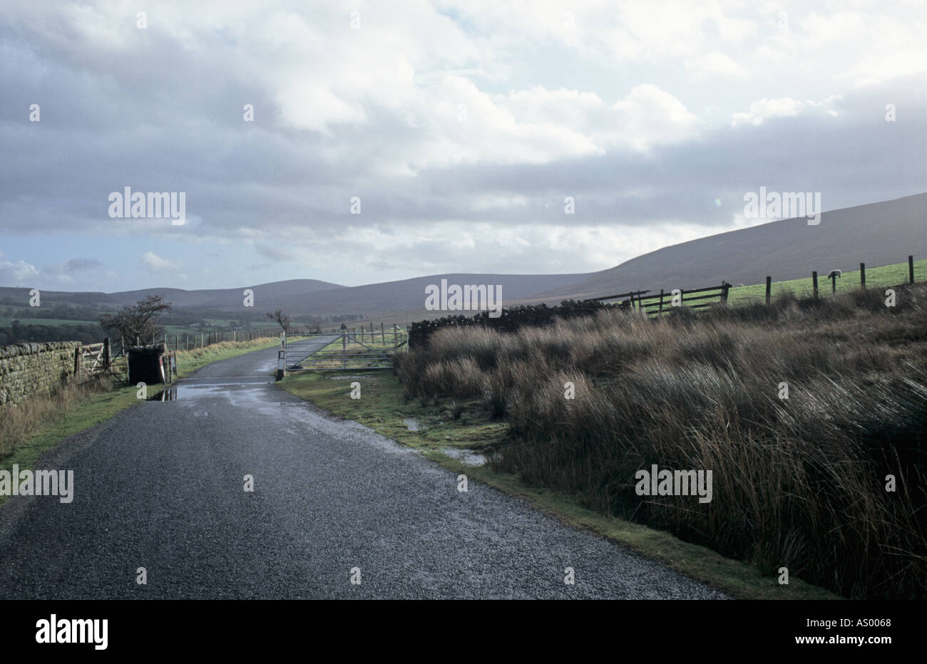 Moor land after a rain storm Stock Photo - Alamy