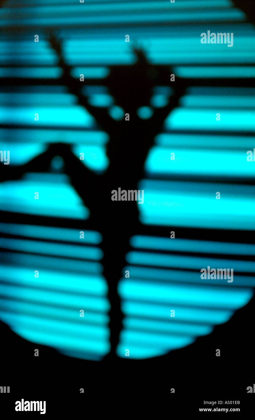 James bond silhouette hi-res stock photography and images - Alamy