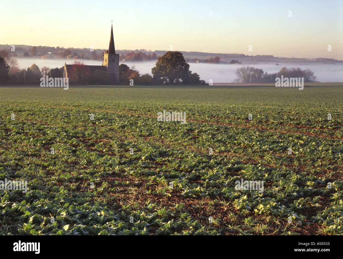 Barming hi-res stock photography and images - Alamy