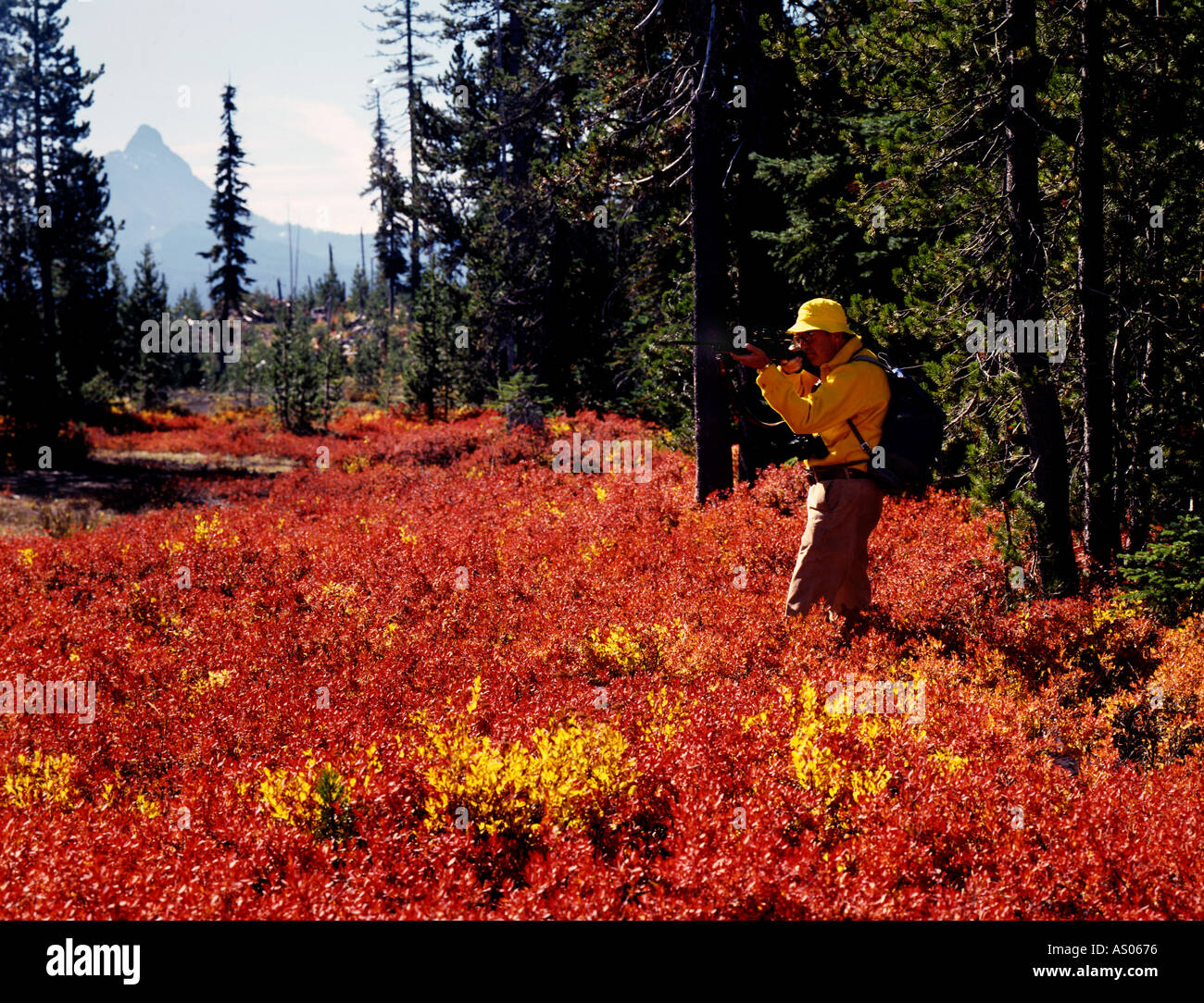 Big game hunter rifle hi-res stock photography and images - Alamy