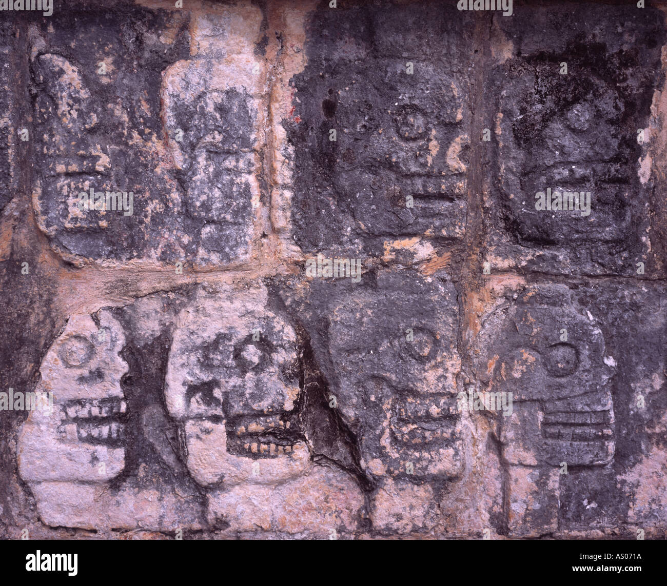 Wall of Skulls - Tzompantli - Chichen Itza Yucatán Mexico Stock Photo ...