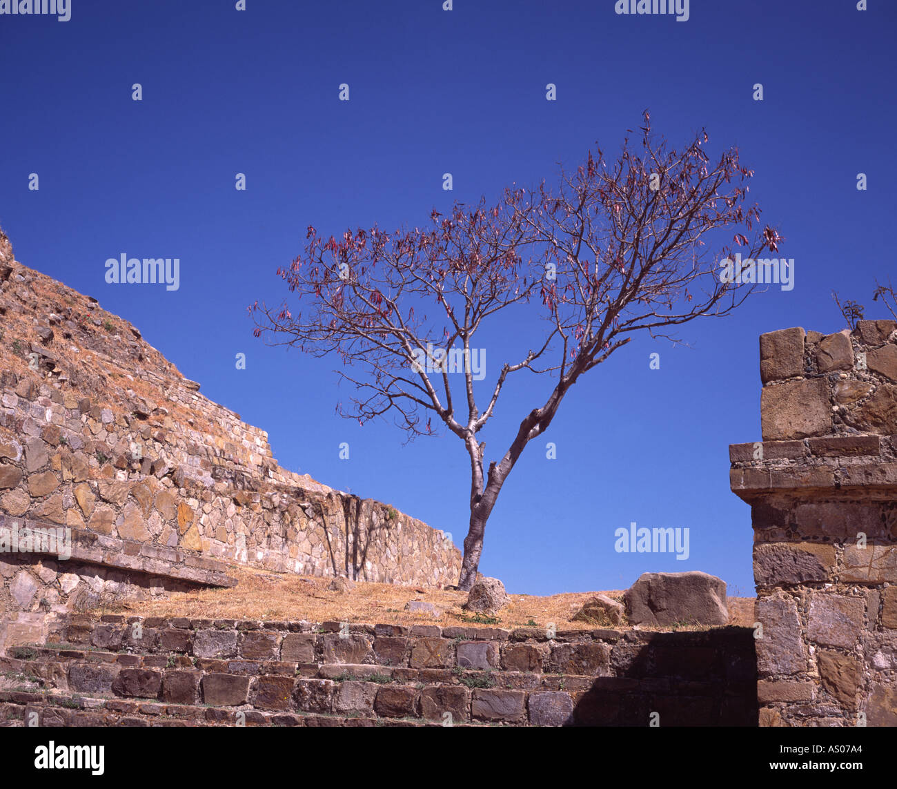 Zapotec ruins Yagul Oaxaca Mexico Stock Photo - Alamy