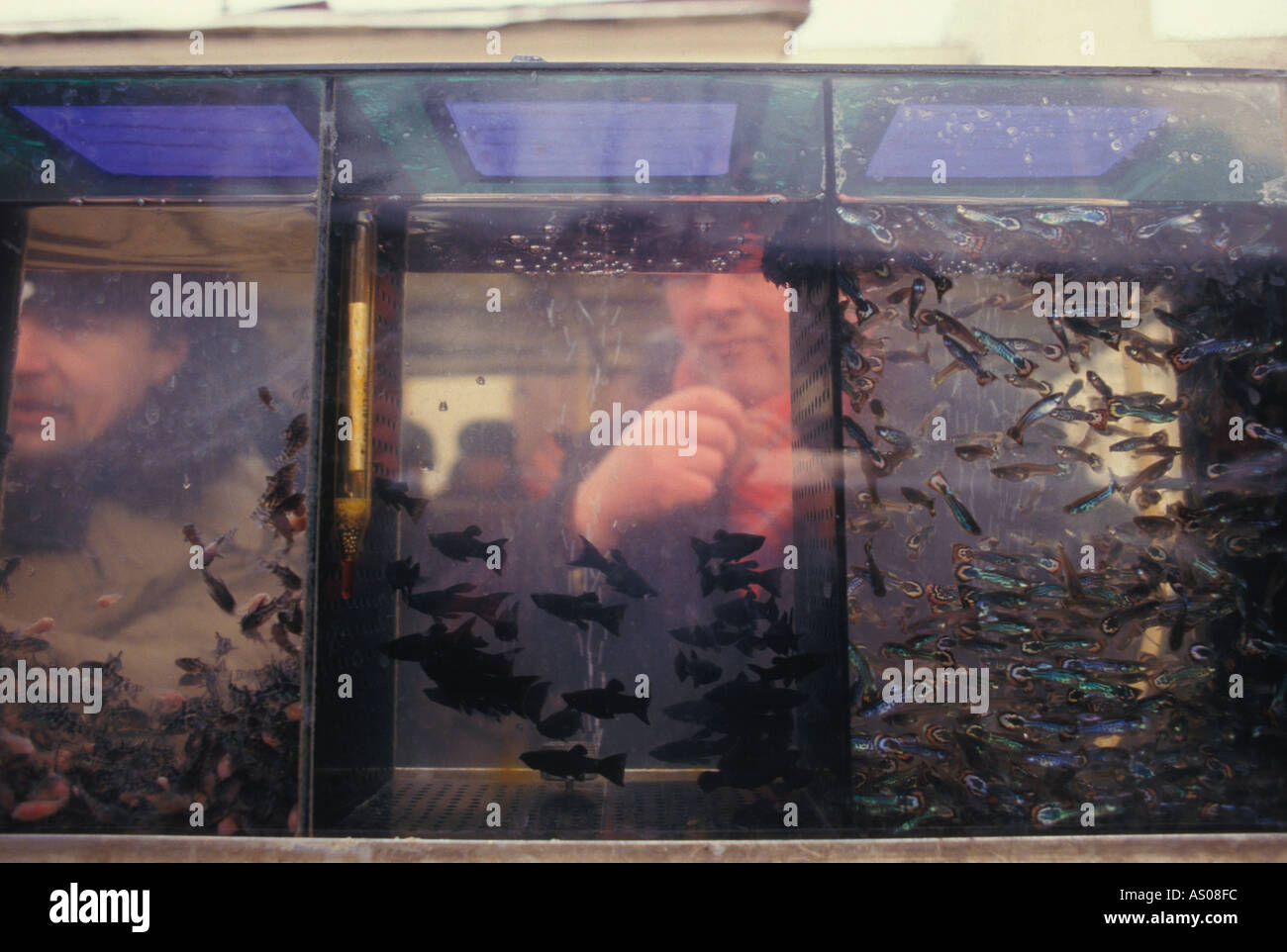 1980s fish market hi-res stock photography and images - Alamy
