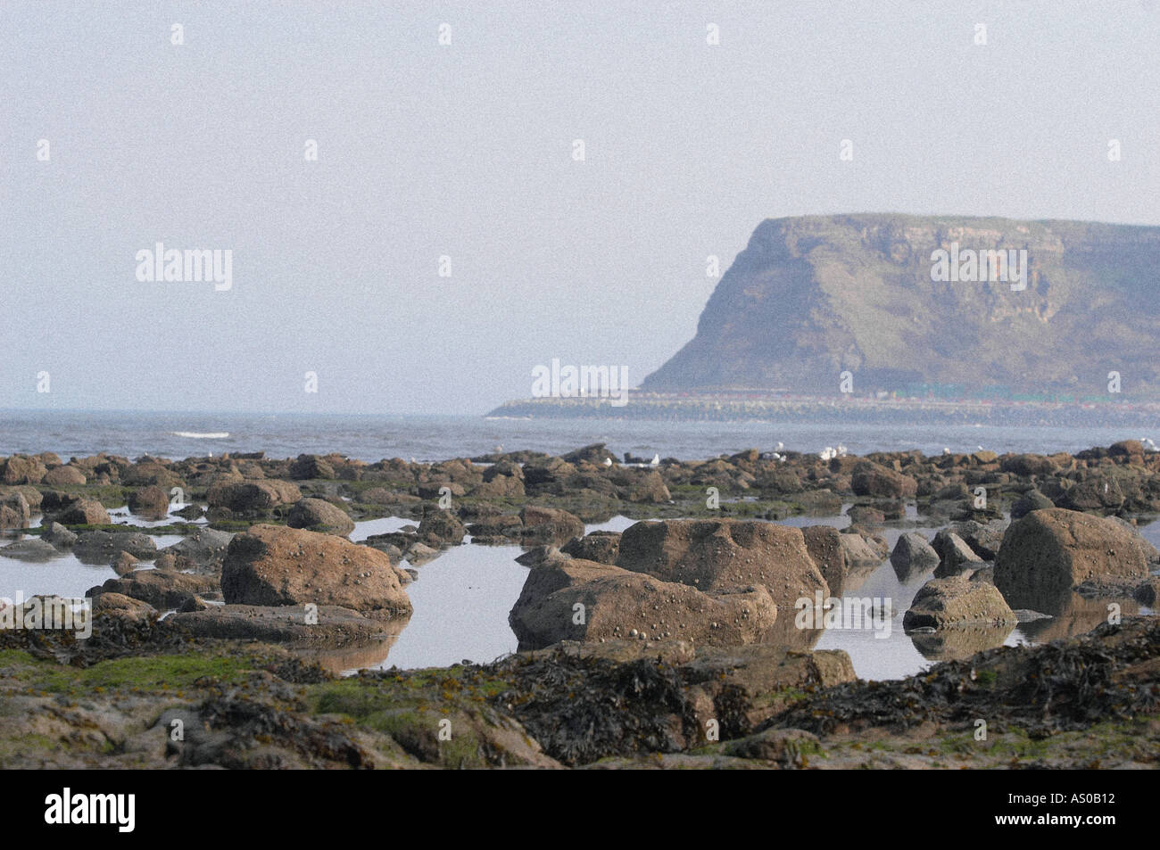 Yorkshire cliff hi-res stock photography and images - Alamy