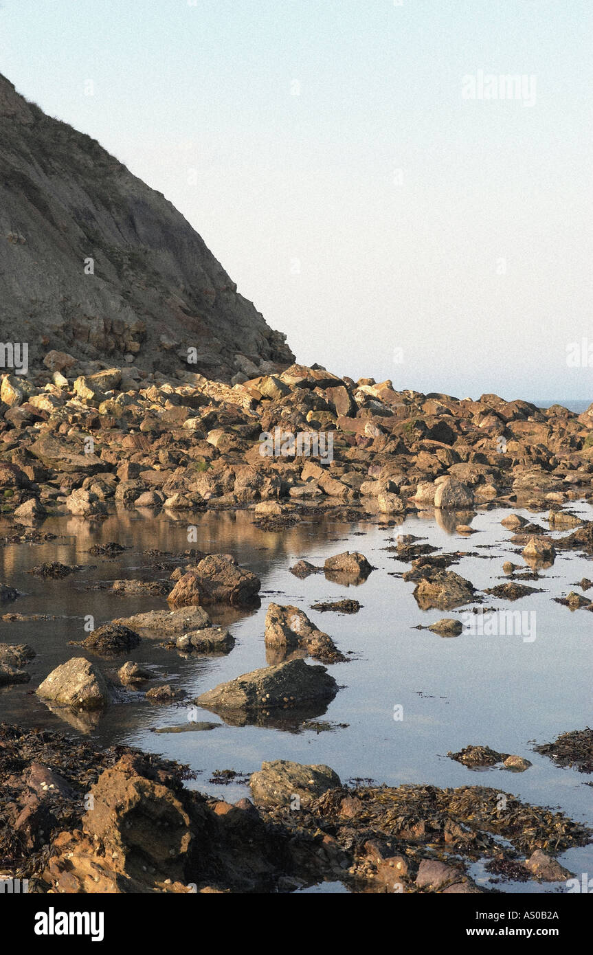 rockpools at beach Stock Photo - Alamy