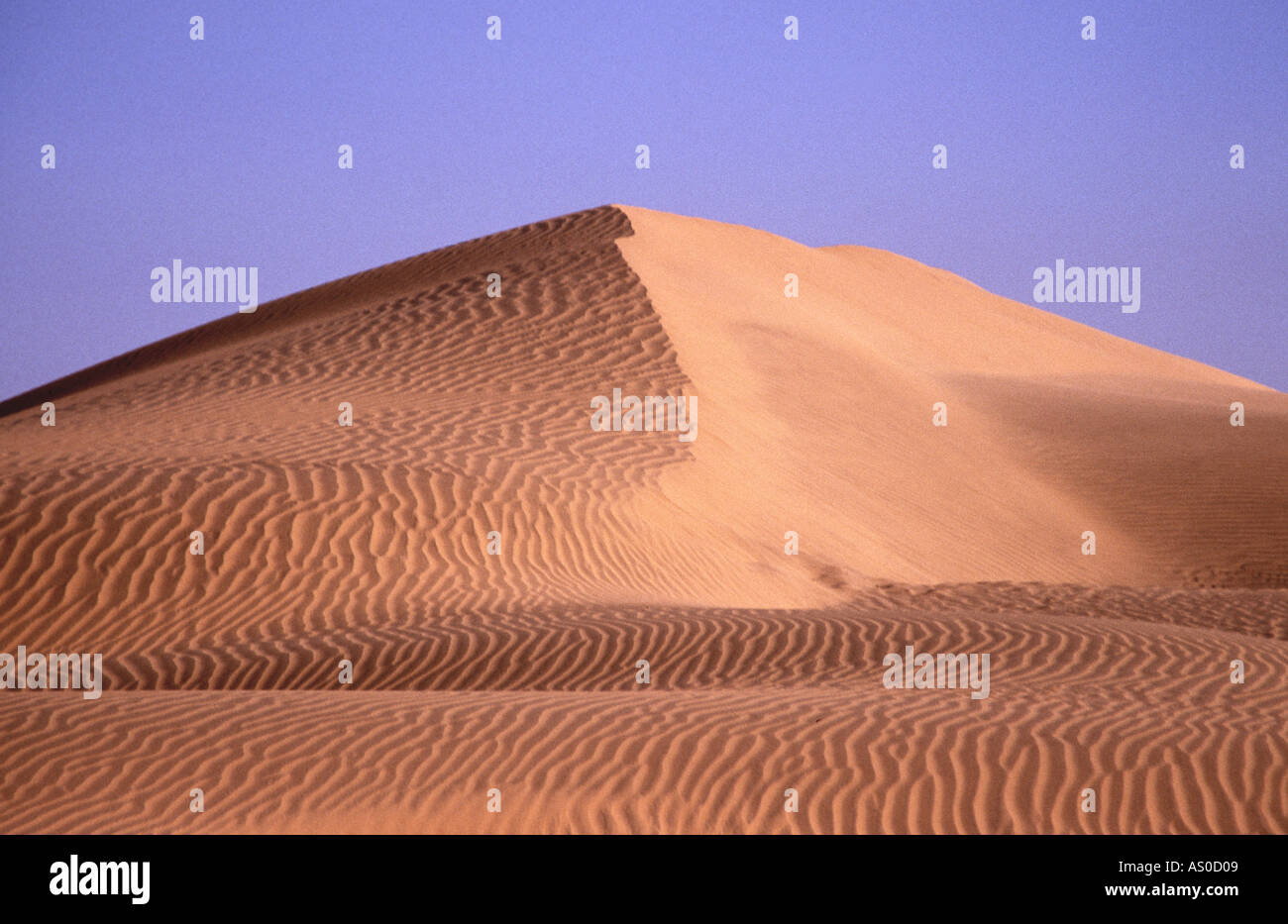 Sand dune Thar Desert Rajasthan India Stock Photo - Alamy