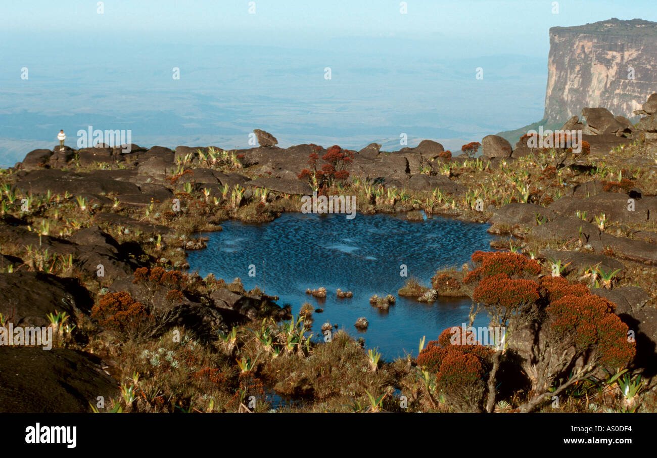 Mount Roraima Pools