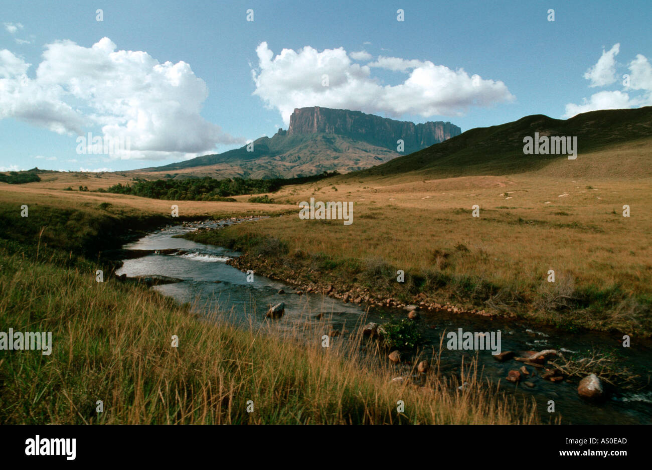 Rio Tek near Mount Roraima Gran Sabana Southern Venezuela Stock Photo ...