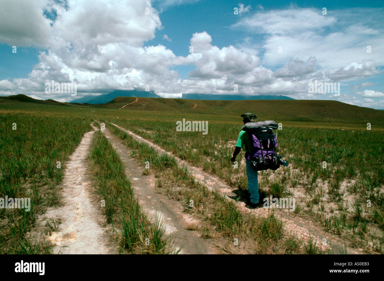 Trail to Mount Roraima Gran Sabana Southern Venezuela Stock Photo - Alamy