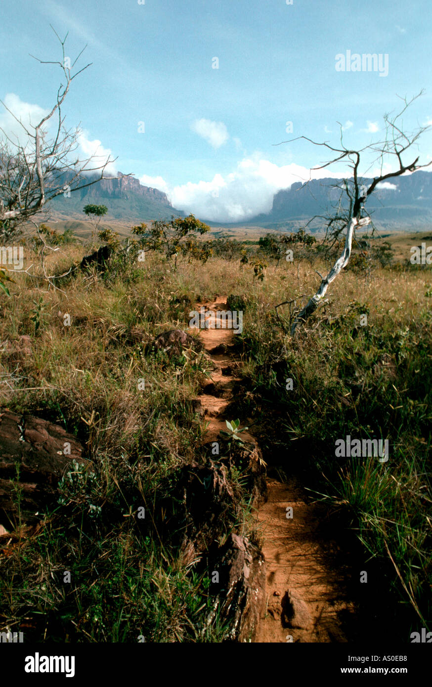 Trail to Mount Roraima Gran Sabana Southern Venezuela Stock Photo - Alamy