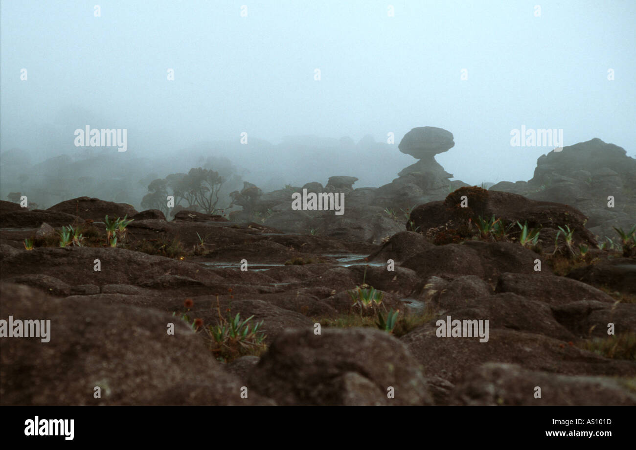 Top of Mount Roraima in the clouds, Gran Sabana, South Venezuela Stock ...